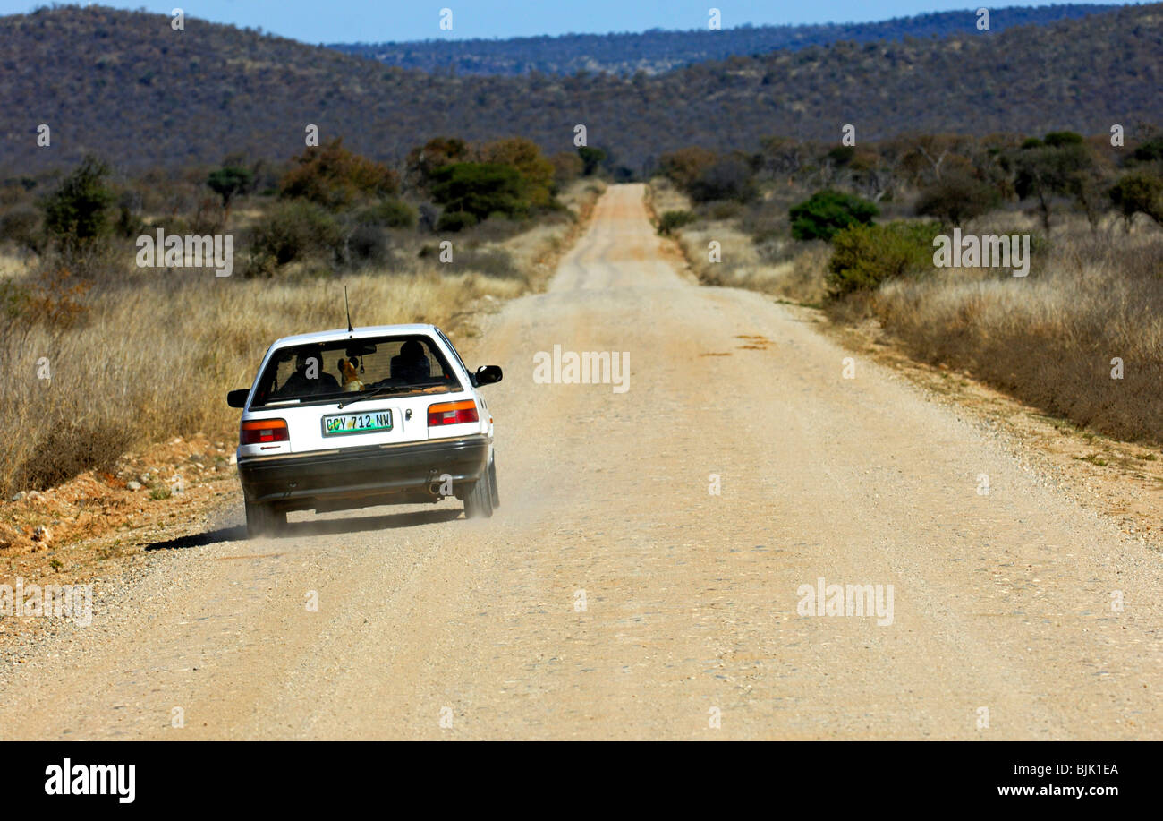 Cars with visitors driving on a nature trail in the Madikwe Game ...