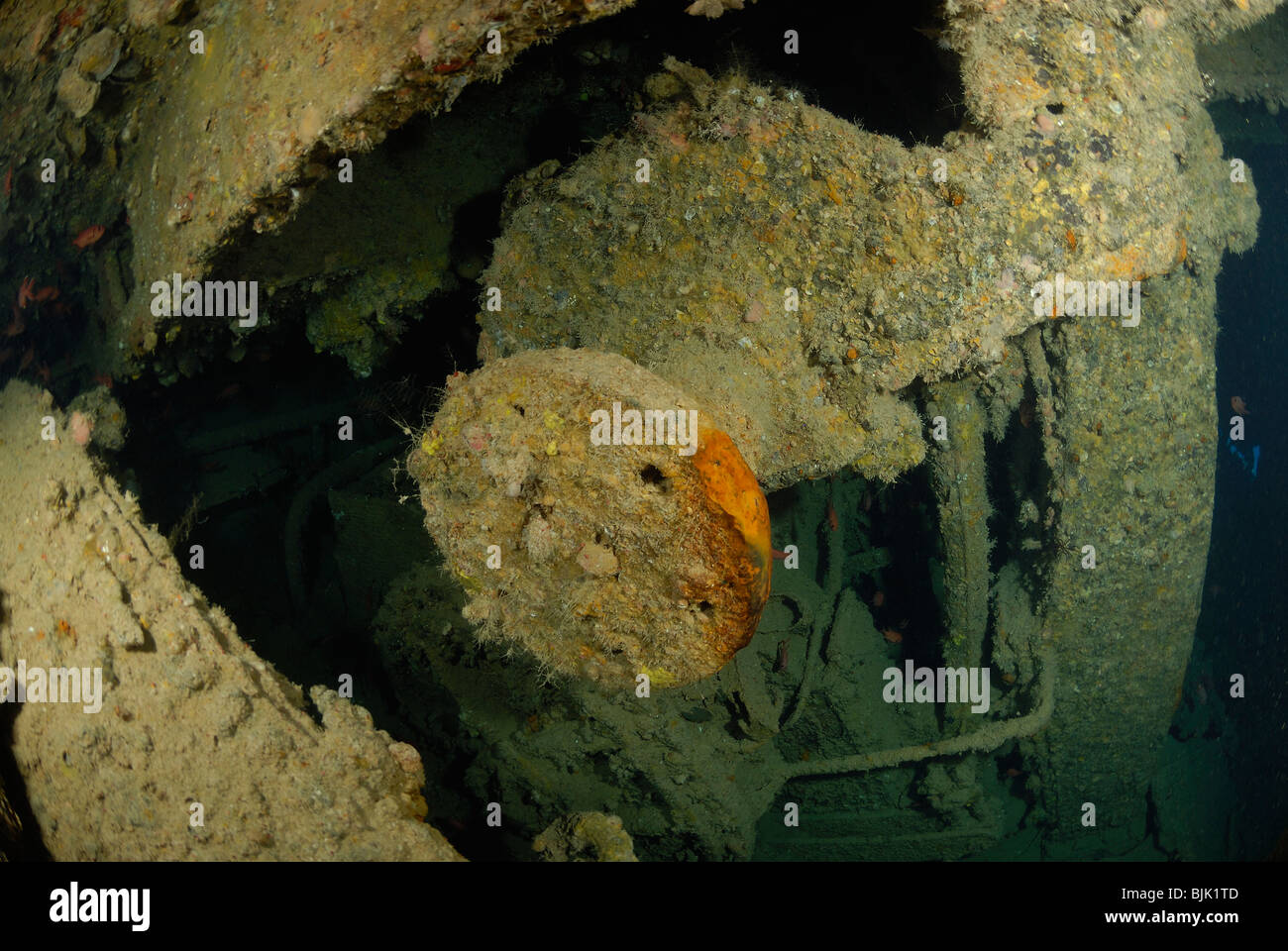 Wreck of Dunraven in the Red Sea, off coast of Egypt Stock Photo - Alamy