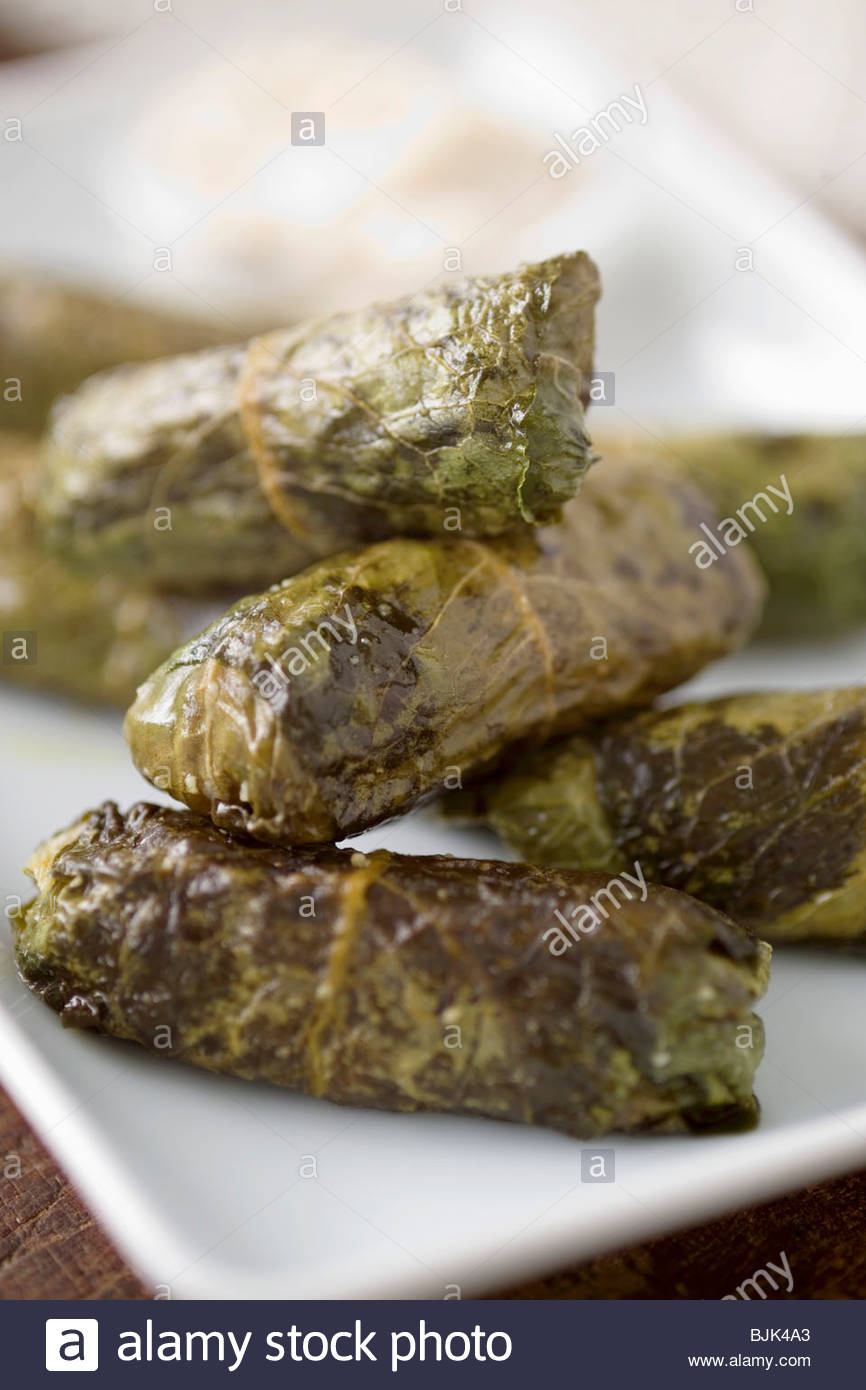 Dock Leaves Stock Photos & Dock Leaves Stock Images - Alamy