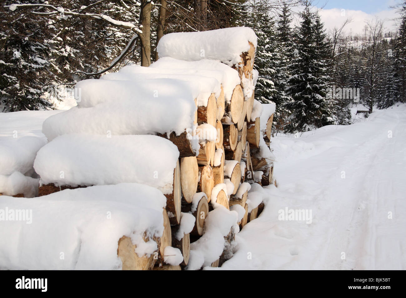 Timber logs square hi-res stock photography and images - Alamy