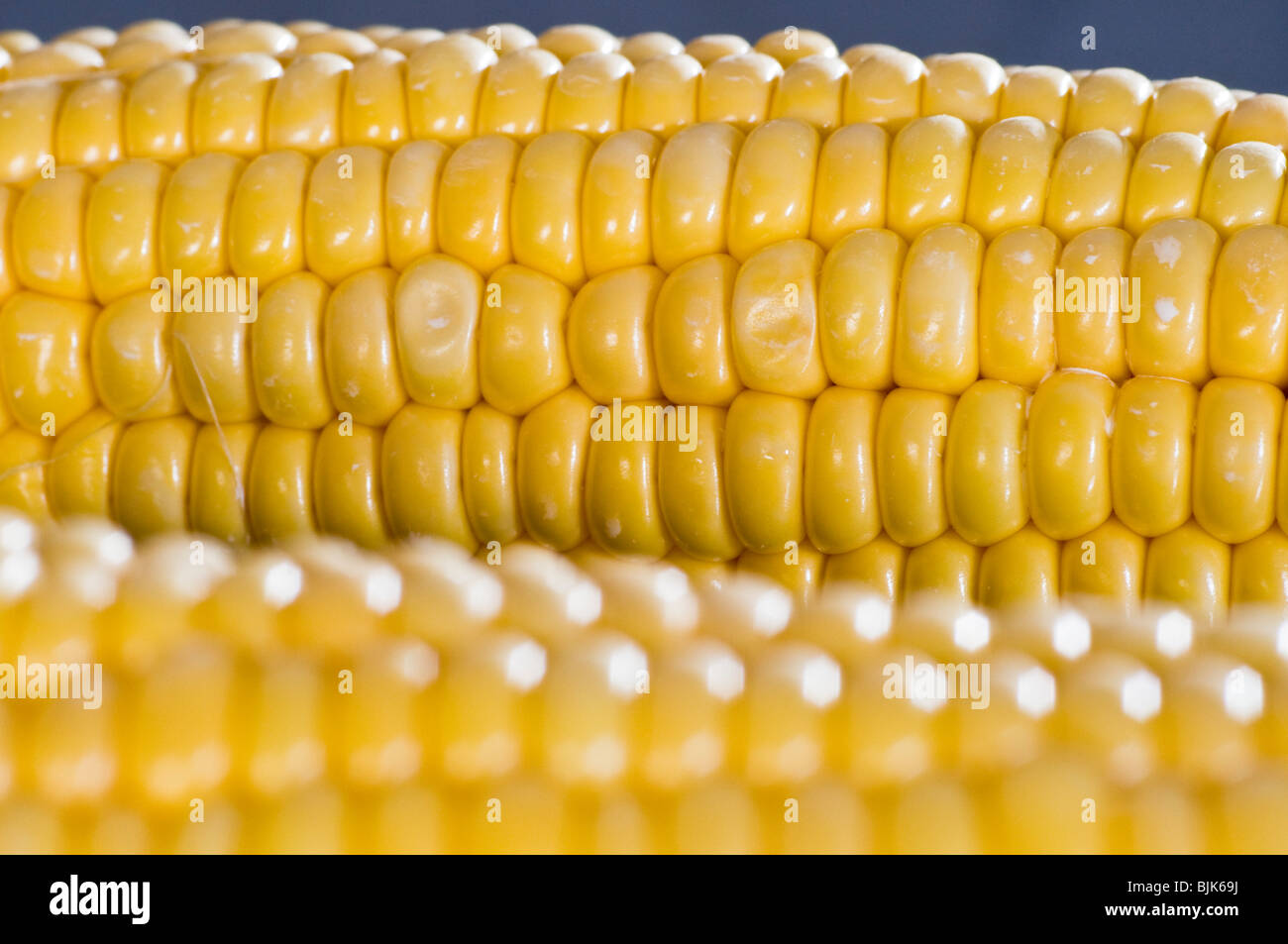 Yellow sweetcorn hi-res stock photography and images - Alamy
