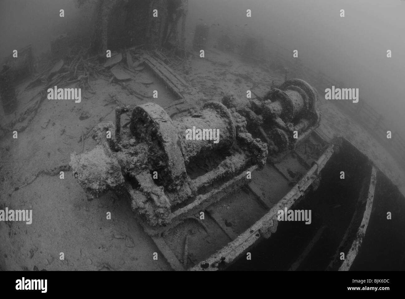 Wreck of Rosalie Muller off coast of Egypt, Red Sea Stock Photo - Alamy