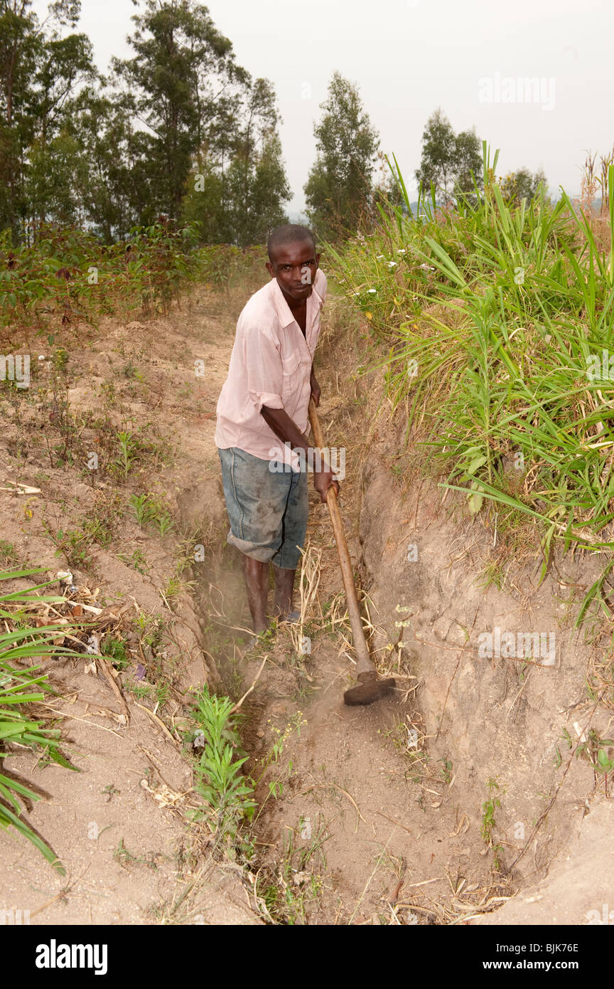 Ditches dug in hillside to help collect rainfall and prevent rapid soil ...