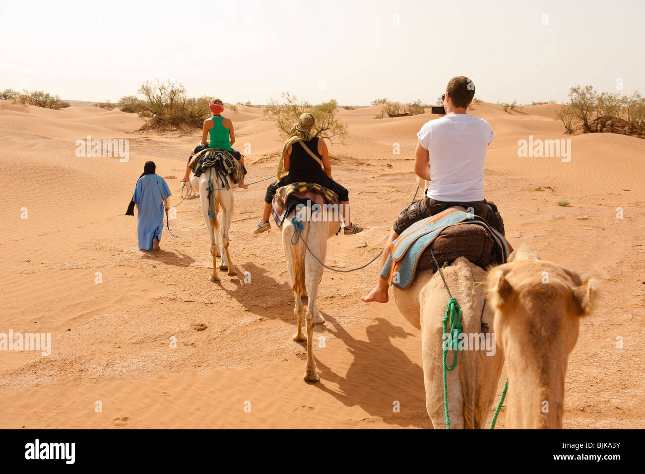 Camel guided tour desert hi-res stock photography and images - Alamy