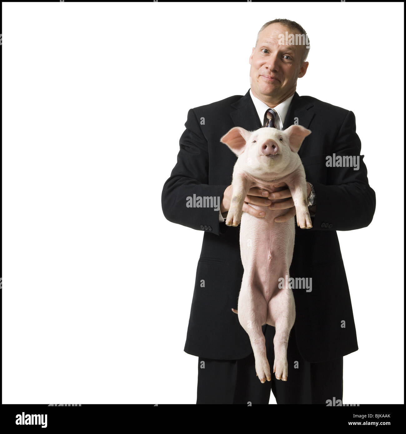 Businessman holding piglet Stock Photo - Alamy