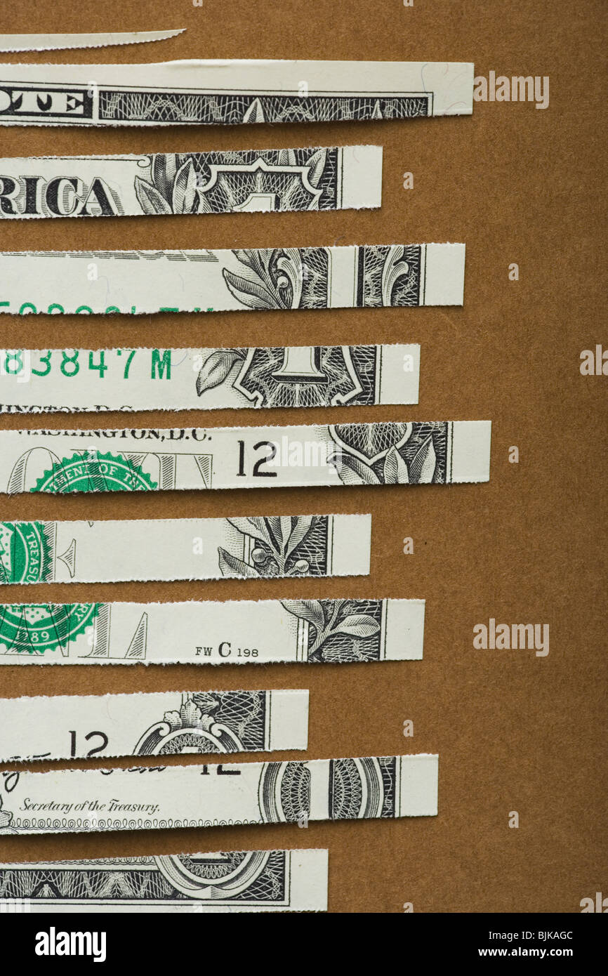 Detailed view of shredded US banknote Stock Photo - Alamy