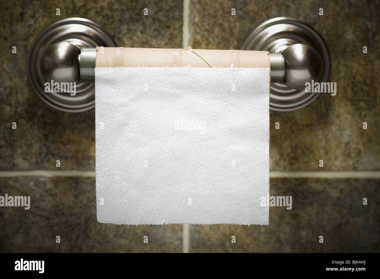 Empty toilet paper roll Stock Photo - Alamy