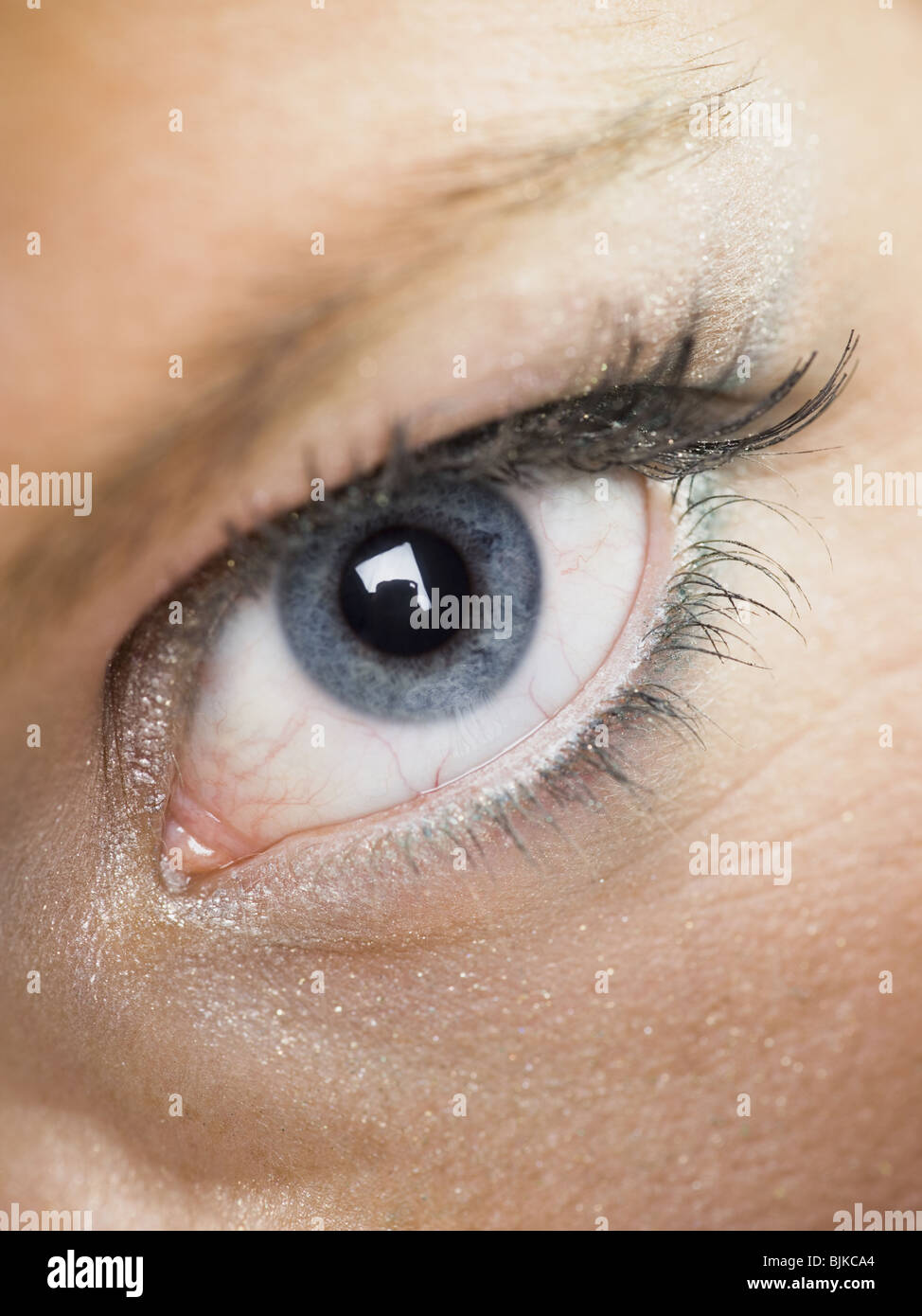 Very detailed eyelashes hi-res stock photography and images - Alamy