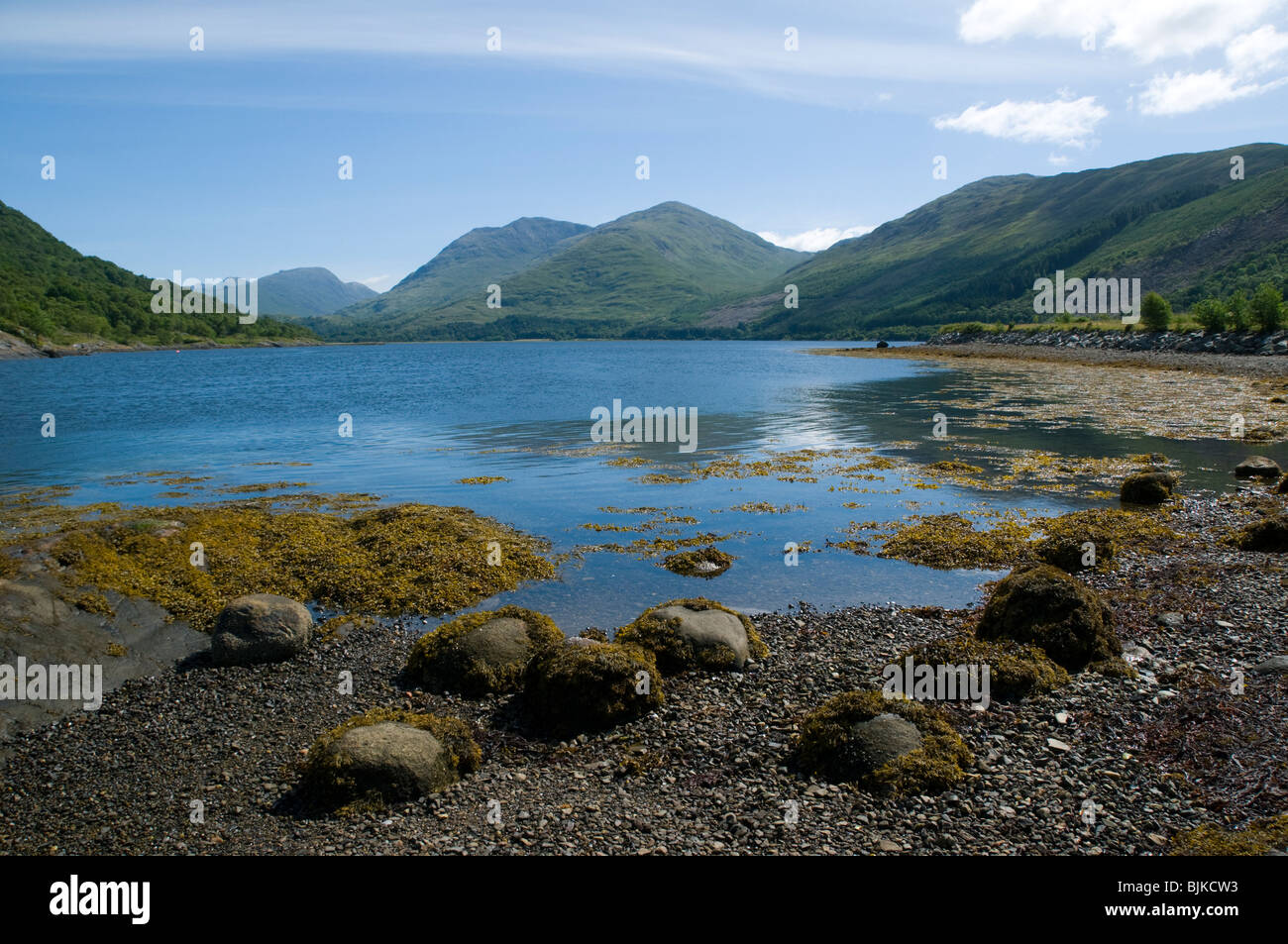 Loch Creran, Argyll, Scotland, UK Stock Photo - Alamy