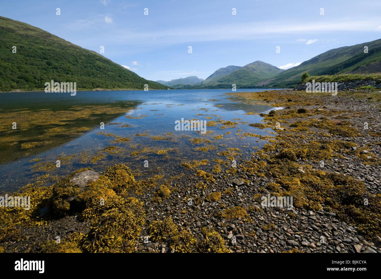 Loch creran argyll loch hi-res stock photography and images - Alamy