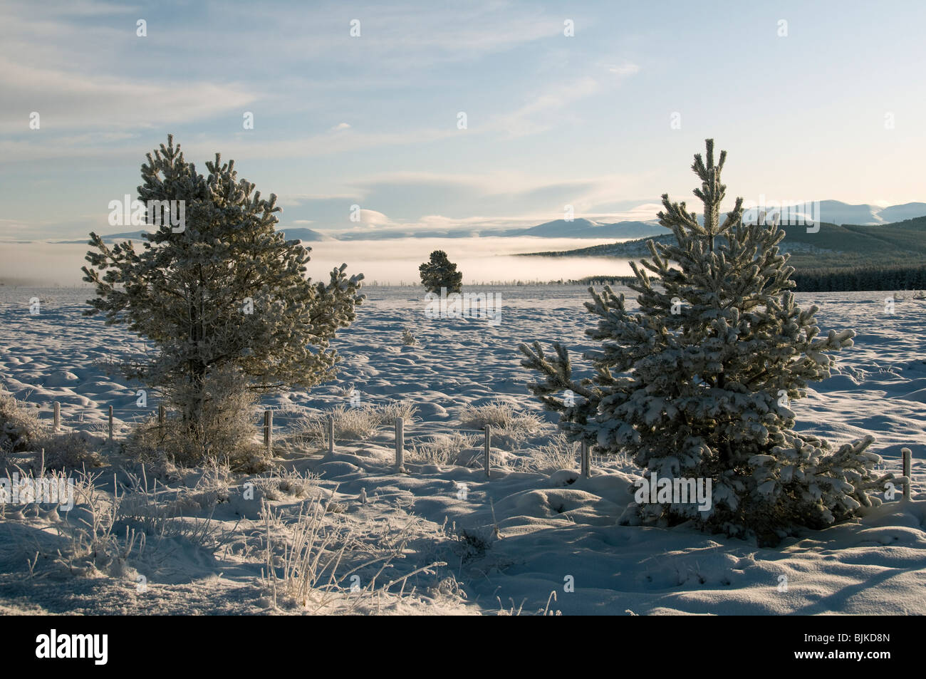 Valley of the spey hi-res stock photography and images - Alamy