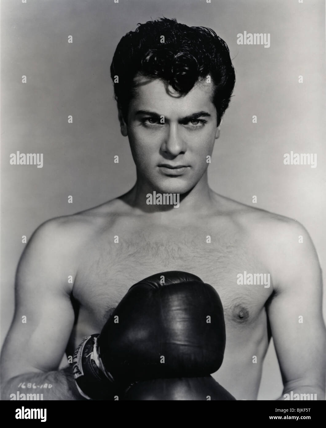 THE SQUARE JUNGLE (1955) TONY CURTIS JERRY HOPPER (DIR) 002 Stock Photo ...