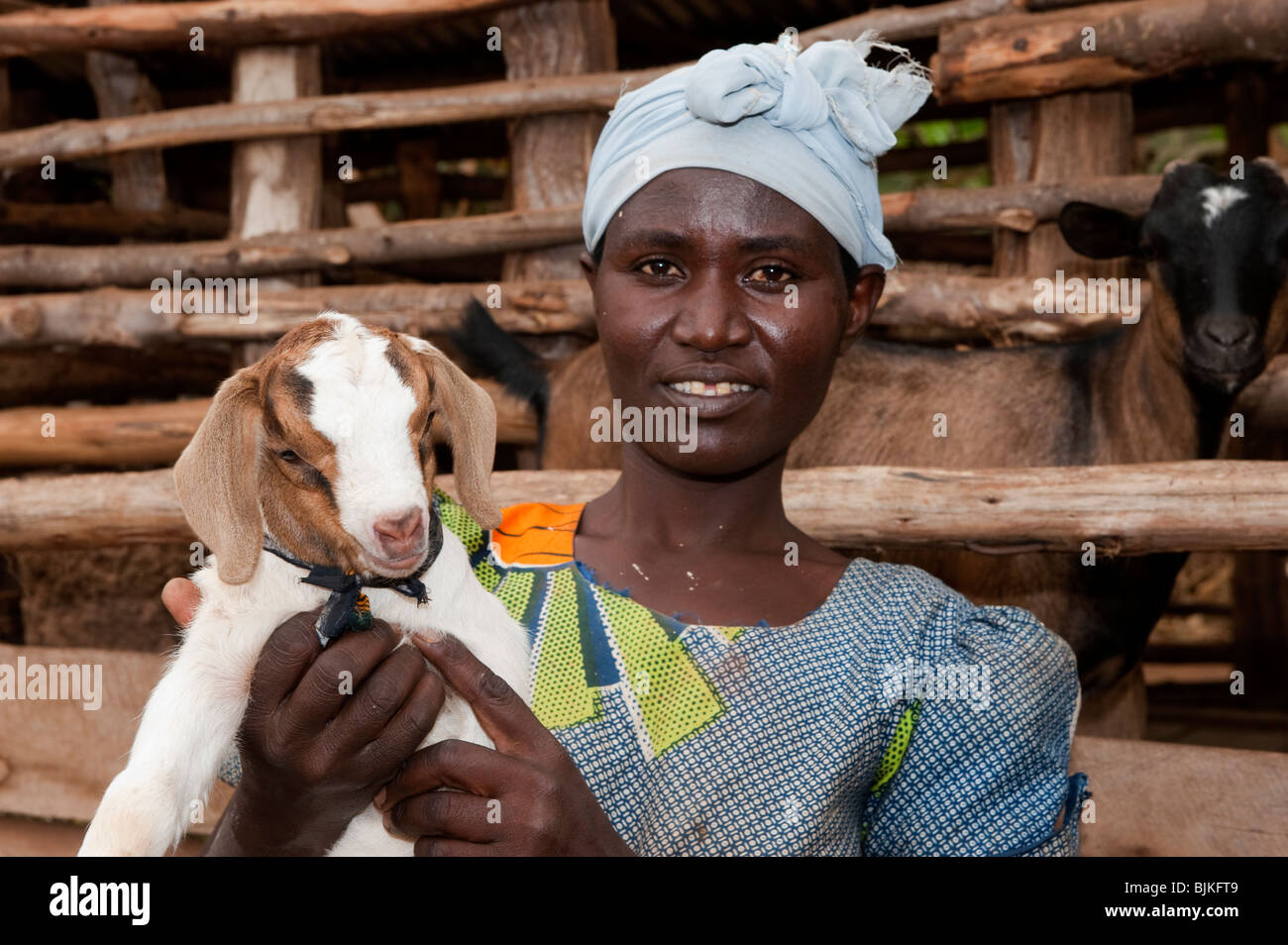 Rwandan ladies with their Goats. Rwanda Stock Photo - Alamy