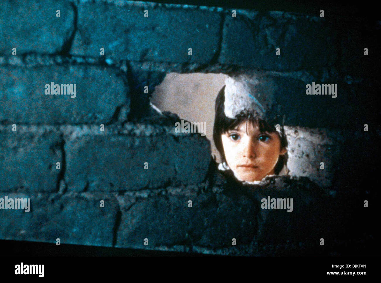 EL ESPIRITU DE LA COLMENA (1973) THE SPIRIT OF THE BEEHIVE (ALT) VICTOR ...