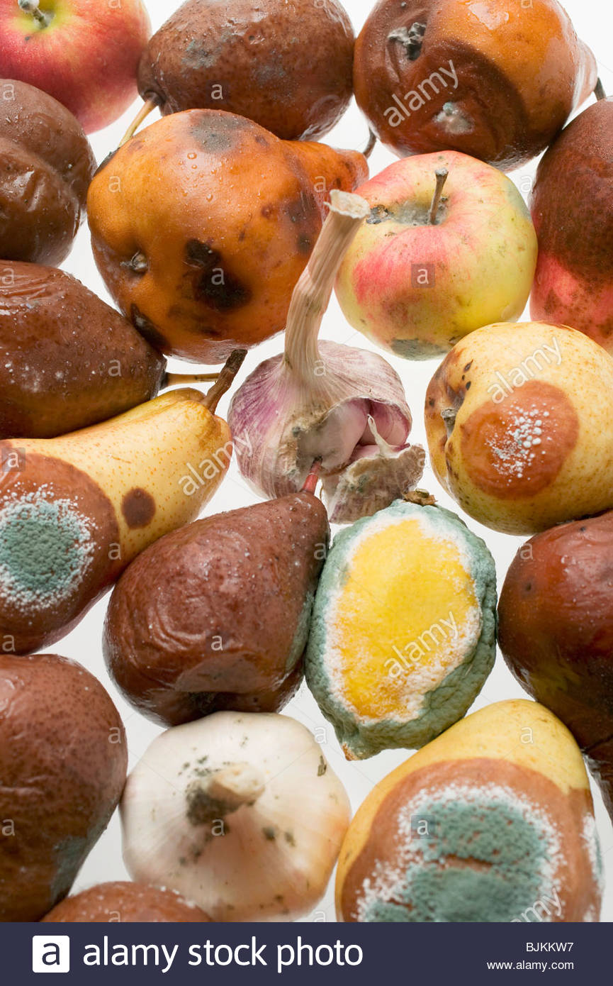 Rotten Fruit Stock Photos & Rotten Fruit Stock Images - Alamy