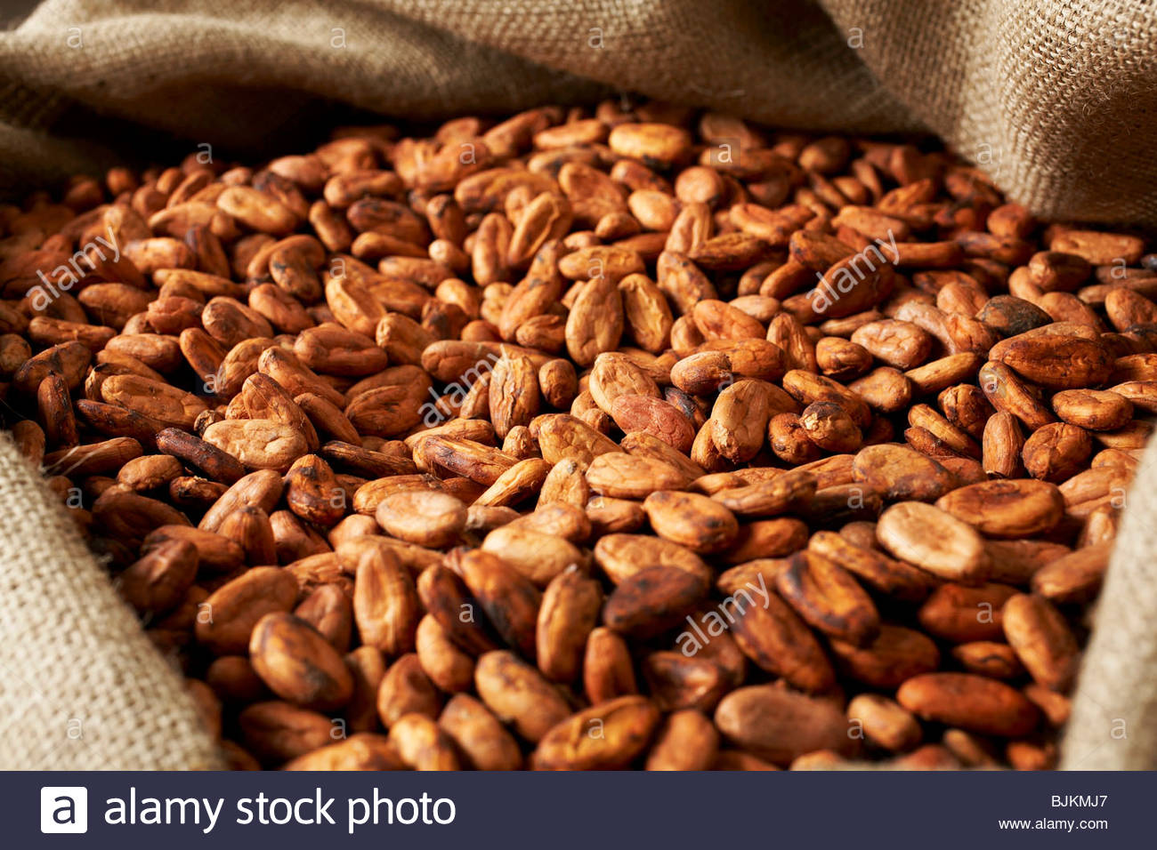 Cocoa Bean Bag Stock Photos & Cocoa Bean Bag Stock Images - Alamy