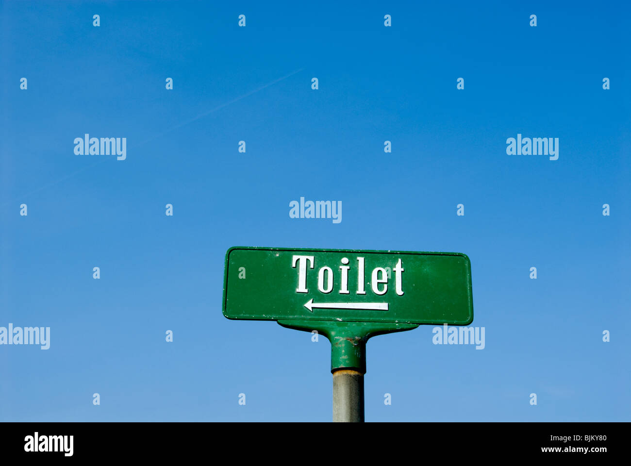 Green Toilet High Resolution Stock Photography and Images - Alamy