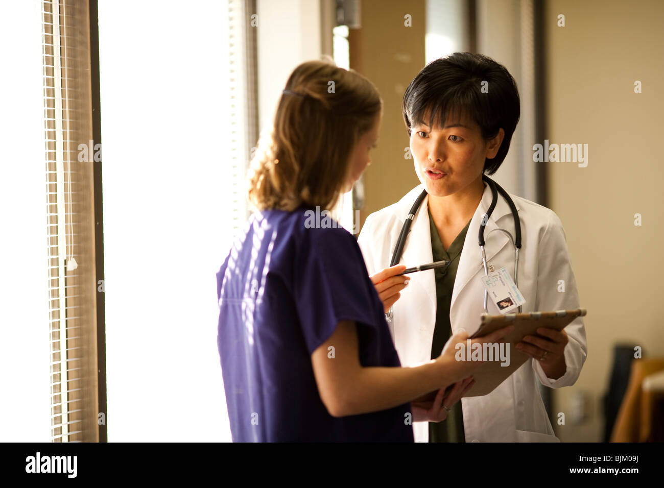 Female doctor explaining patient records to nurse Stock Photo - Alamy