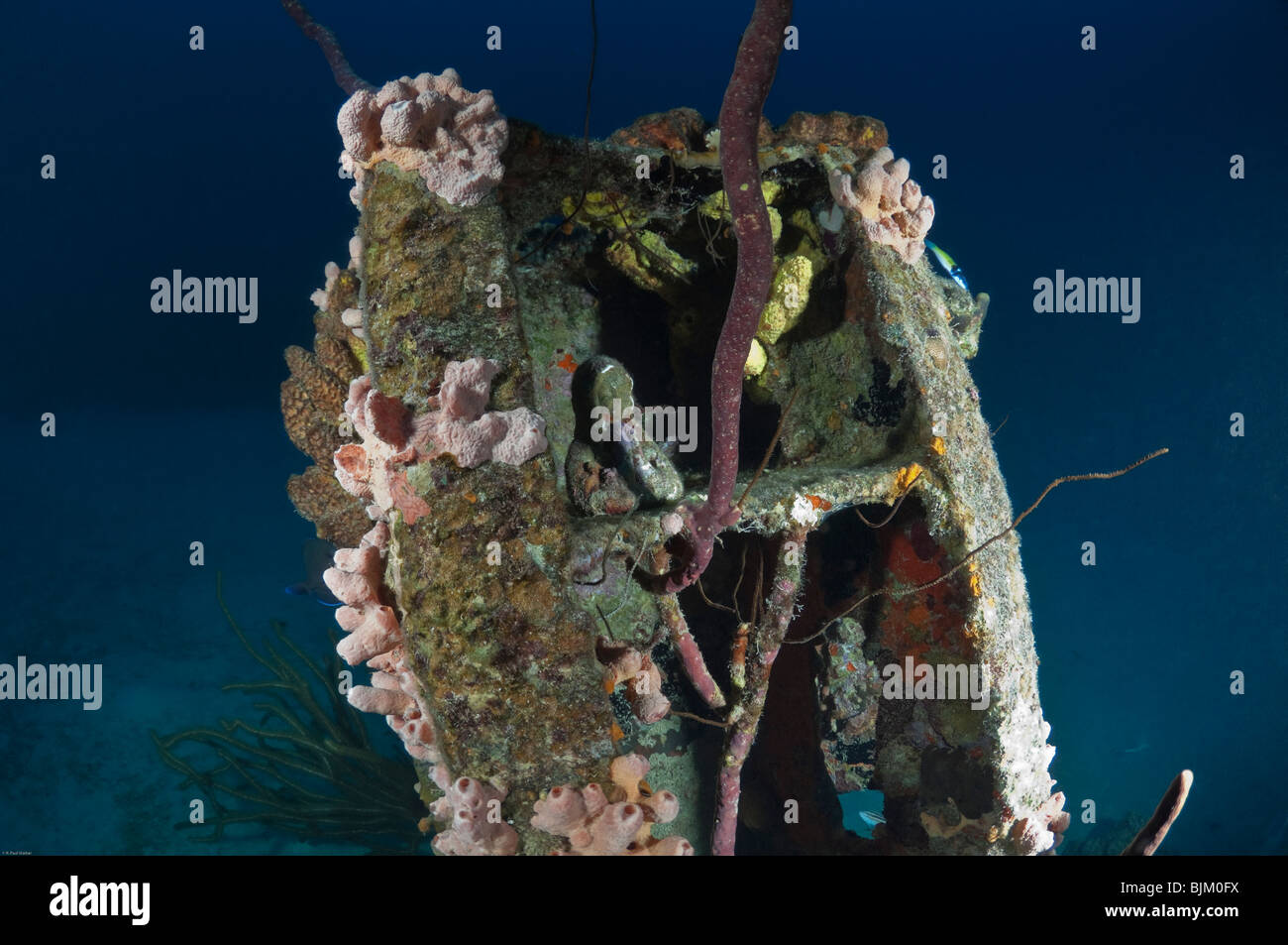 A small statue of the Virgin Mary prays from the crows nest of the ...