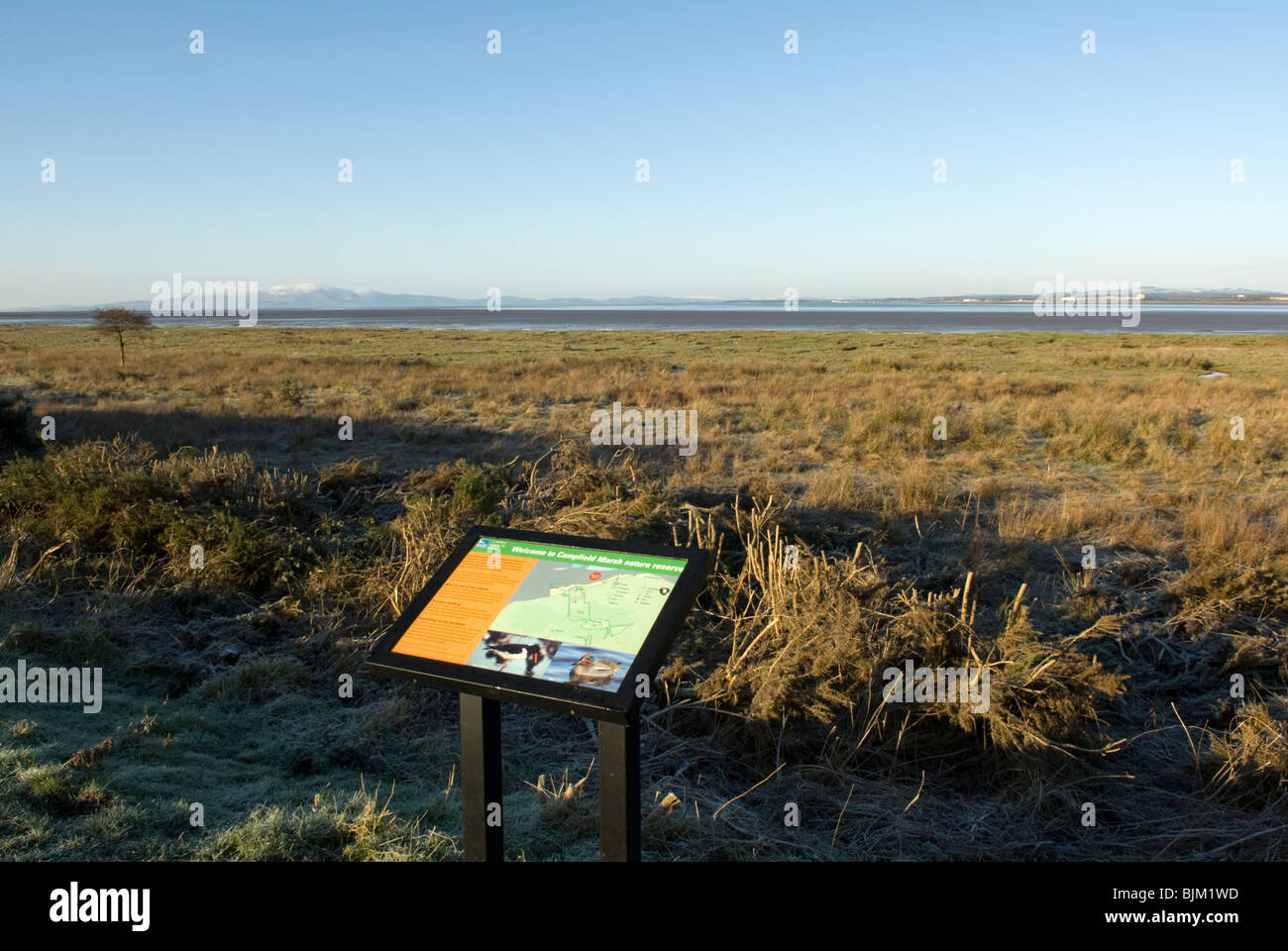 Campfield Marsh RSPB reserve, The Solway Firth, Cumbria, England Stock ...