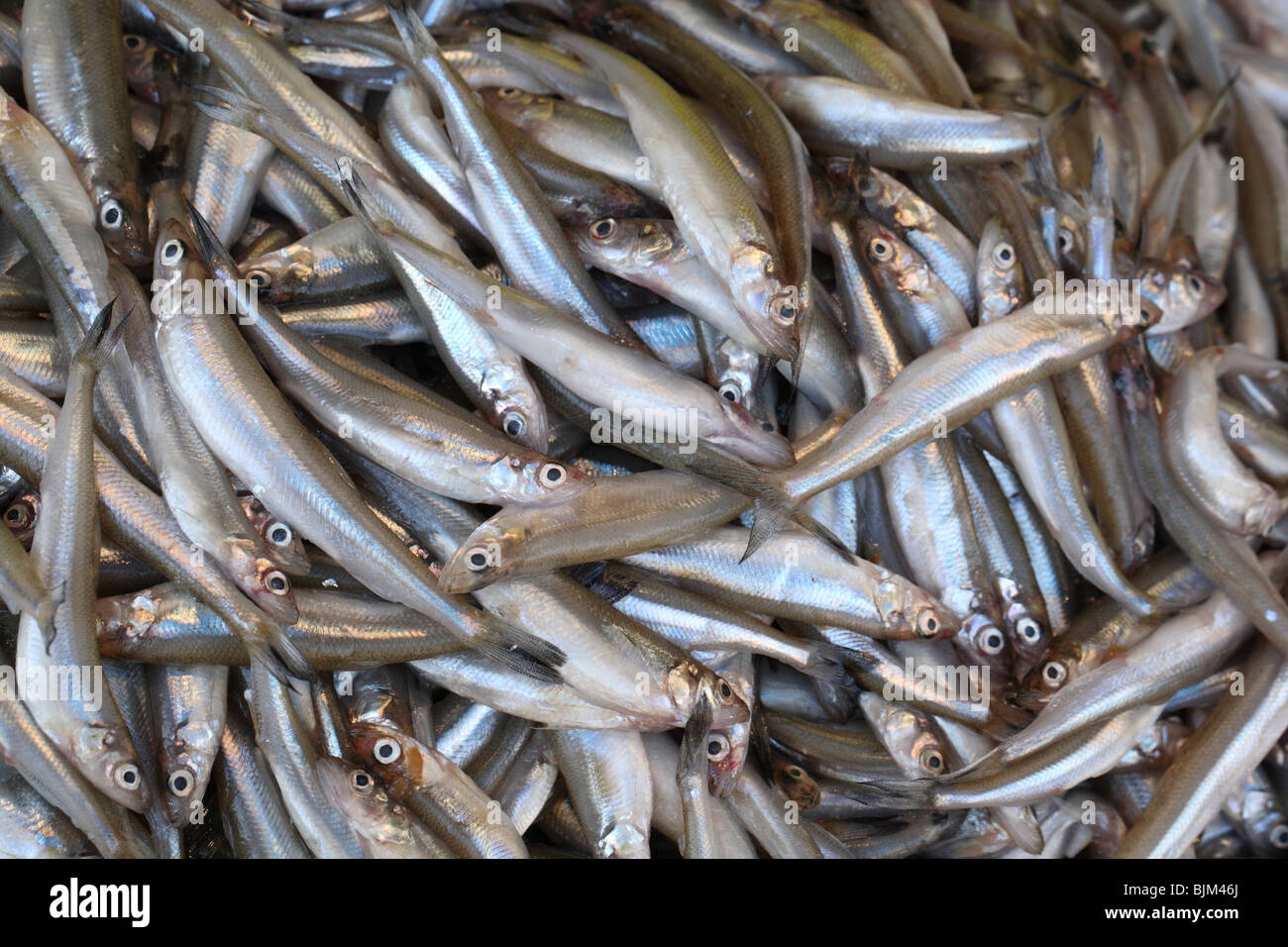 Fish heads recipe hi-res stock photography and images - Alamy