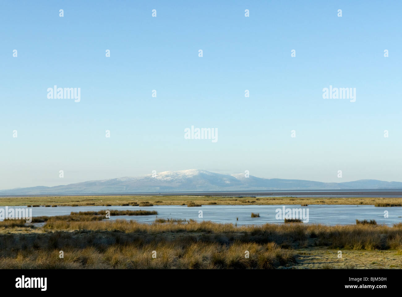 Campfield Marsh RSPB reserve, The Solway Firth, Cumbria, England Stock ...