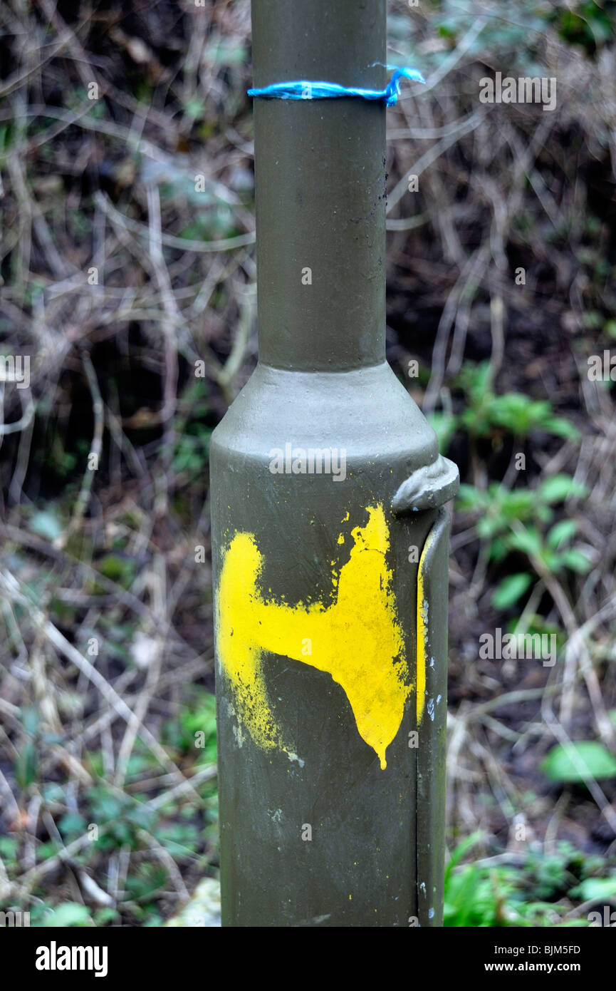 Lamp post with graffiti Stock Photo - Alamy