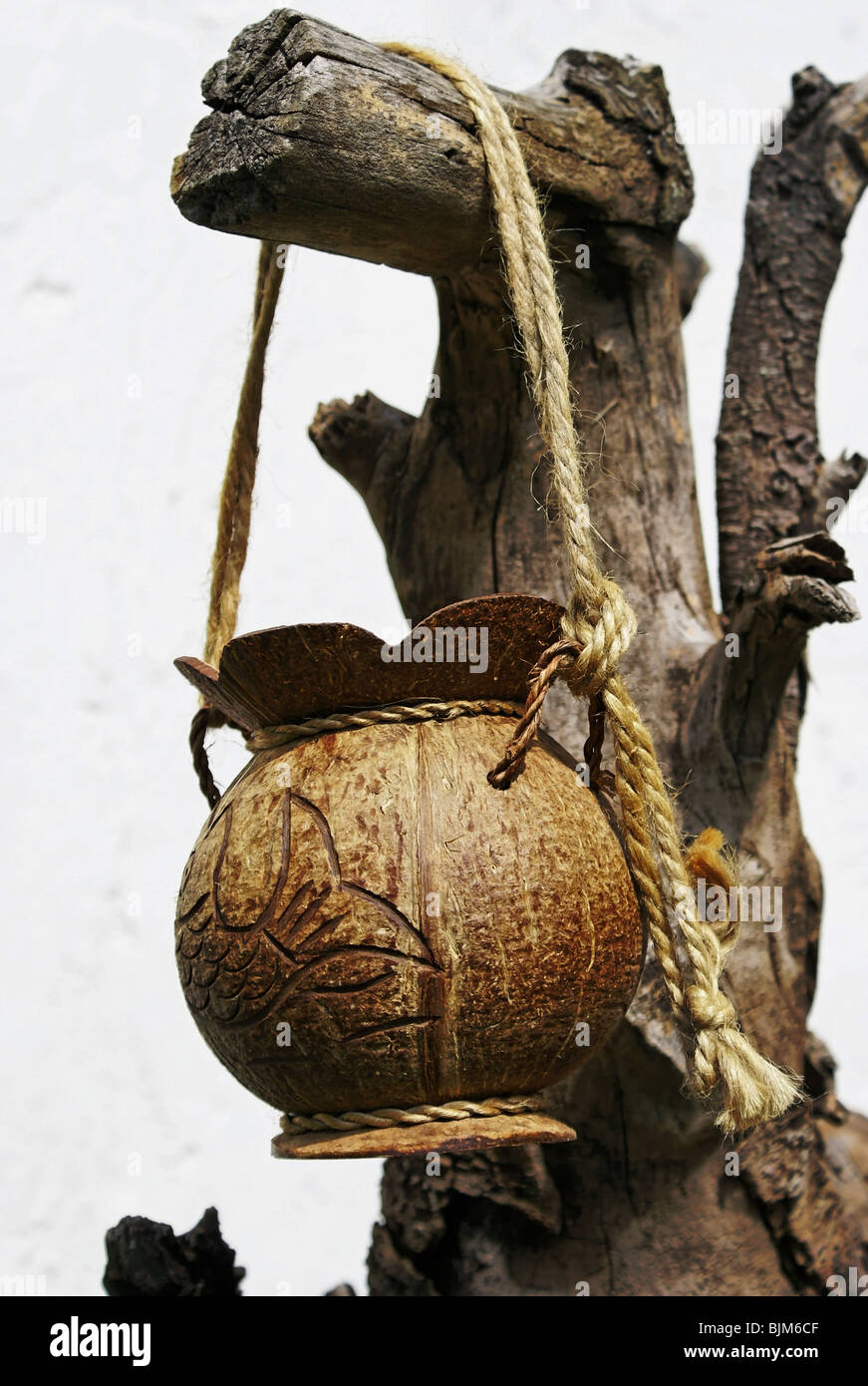 Garden decoration of wooden pot hanging on a rope attached to tree ...