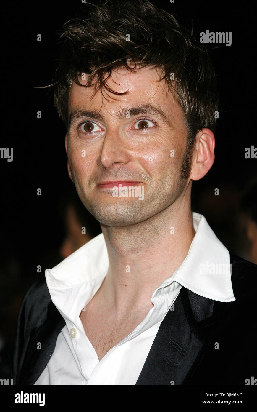 DAVID TENNANT NATIONAL TELEVISION AWARDS 2007 THE ROYAL ALBERT HALL ...