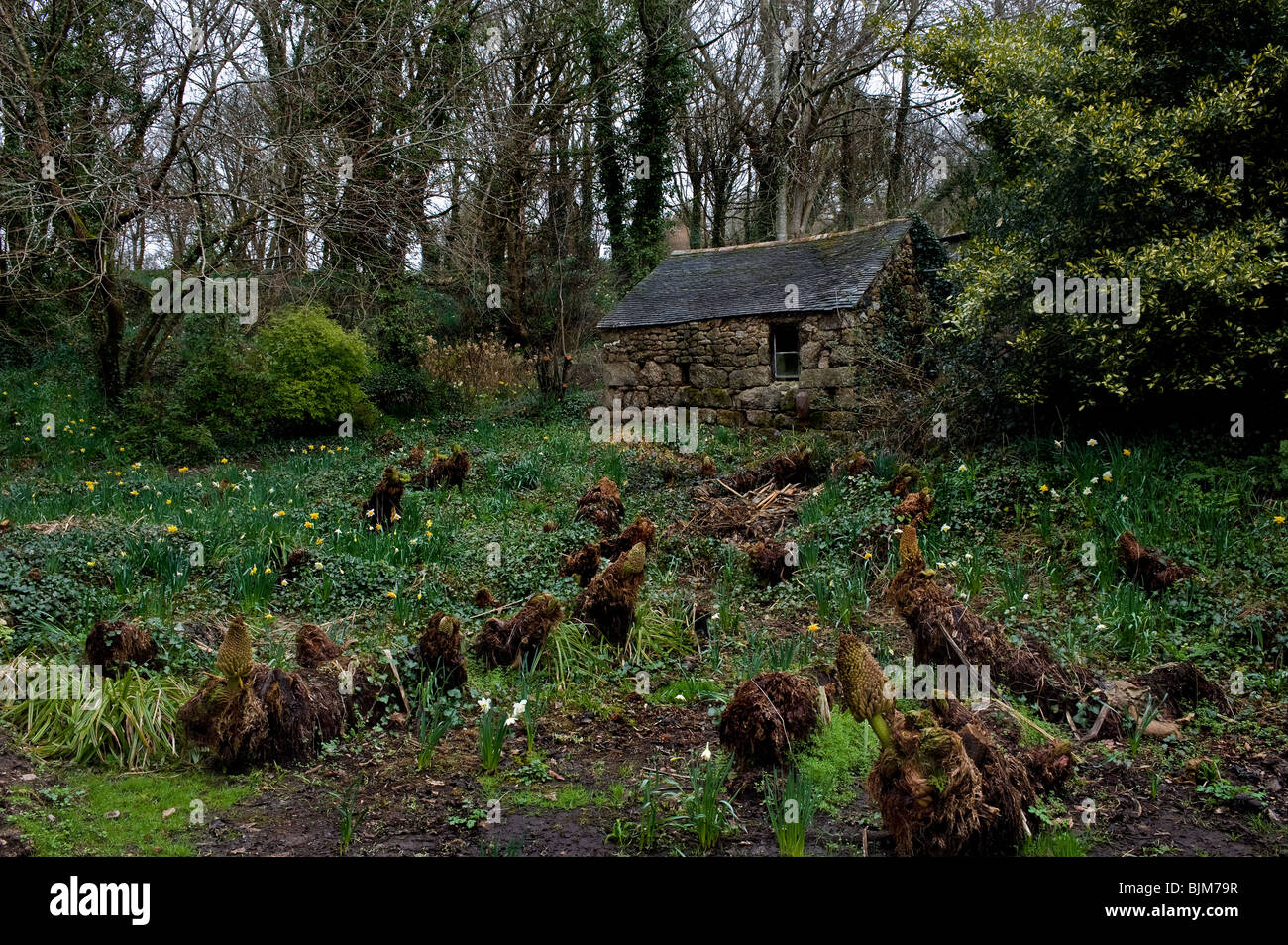 Cornish watermill hi-res stock photography and images - Alamy