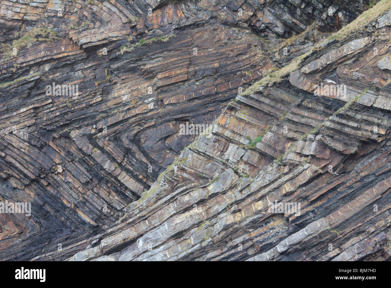 Cornwall sea cliff s at millock haven interesting zig zag rock formations Stock Photo - Alamy