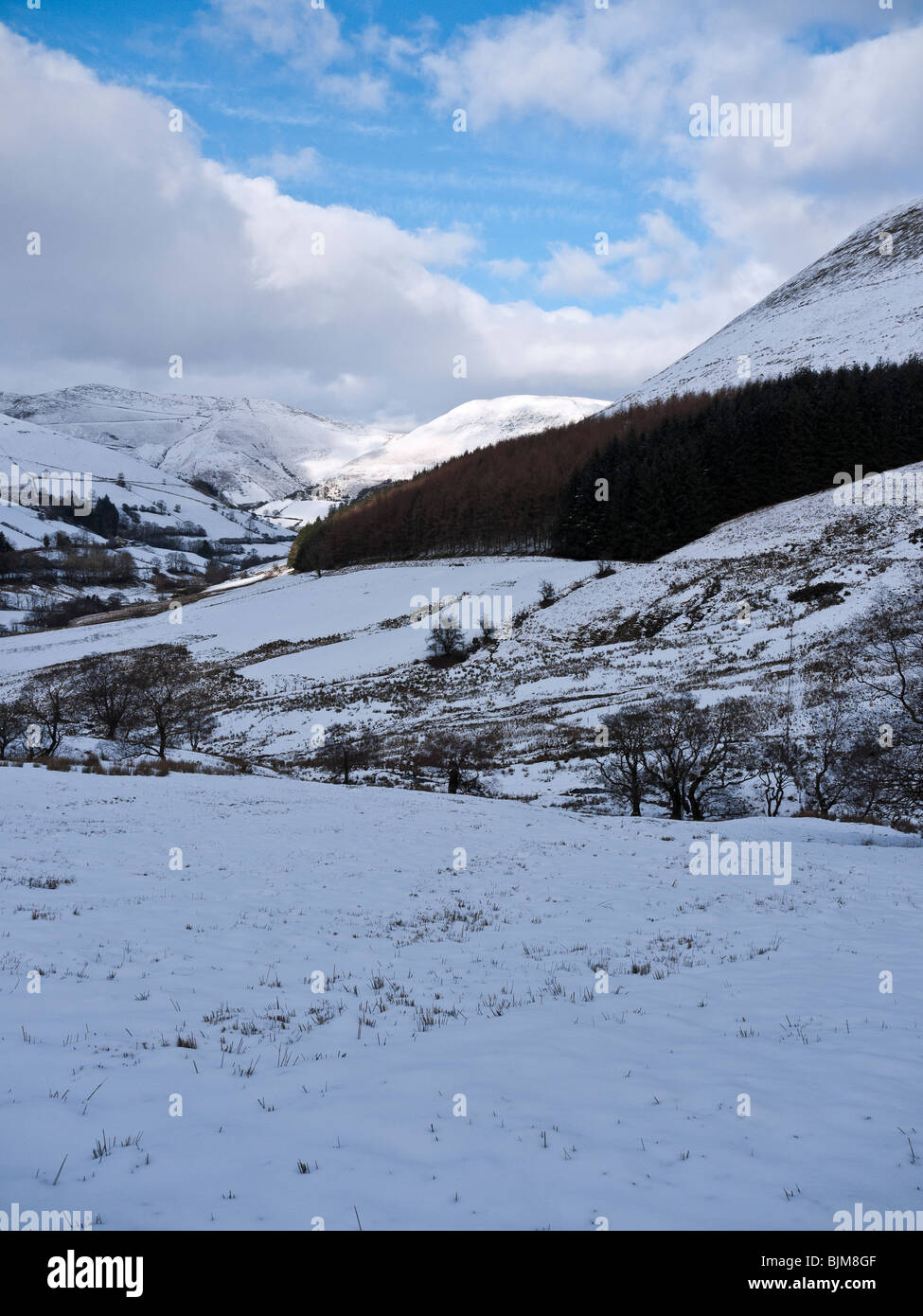 View of Y Gribin and Foel Benddin near Dinas Mawddwy. Snowdonia Wales ...