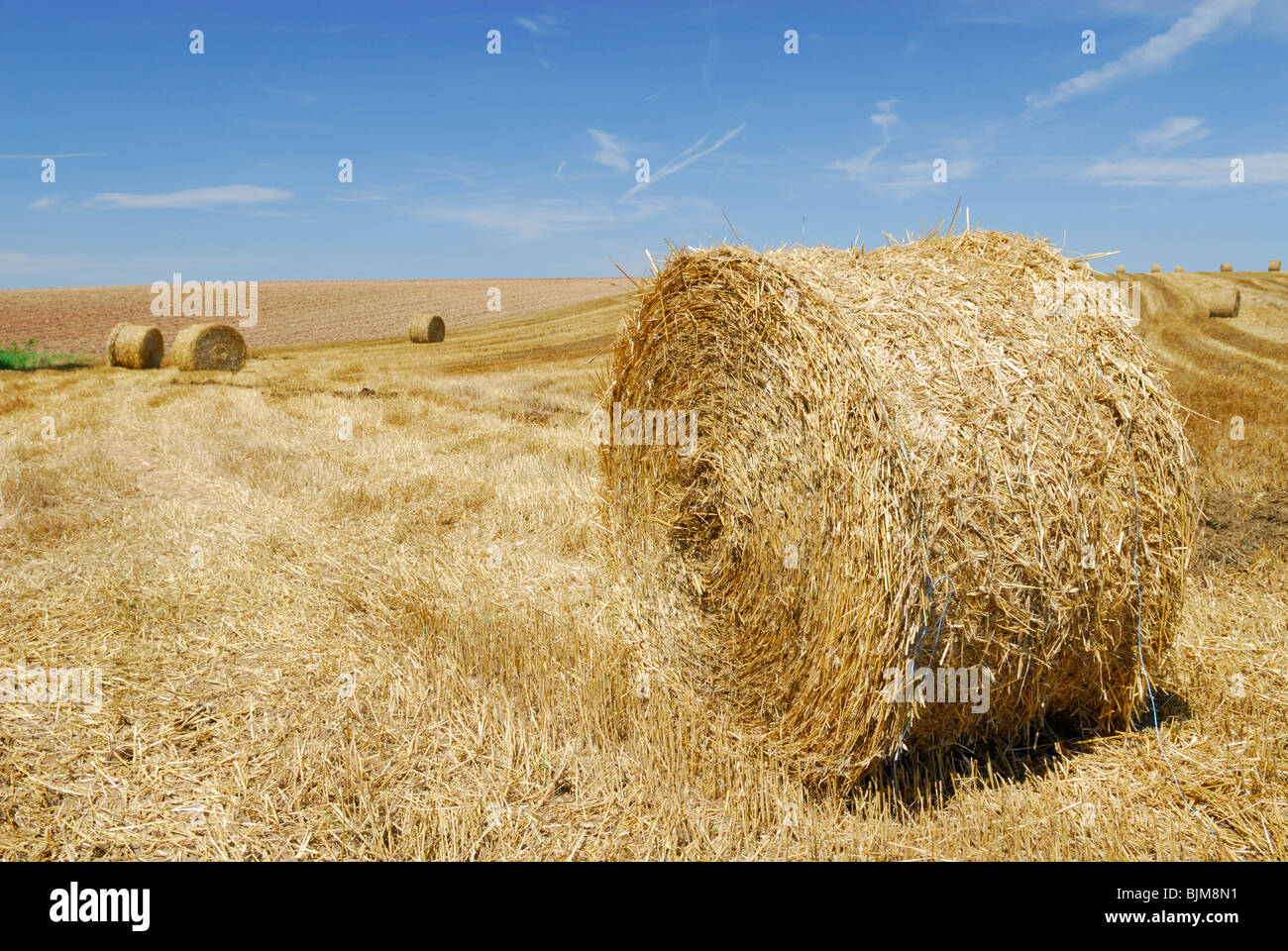 Ball hay hi-res stock photography and images - Alamy