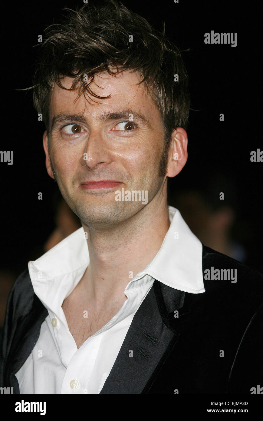 DAVID TENNANT NATIONAL TELEVISION AWARDS 2007 THE ROYAL ALBERT HALL ...