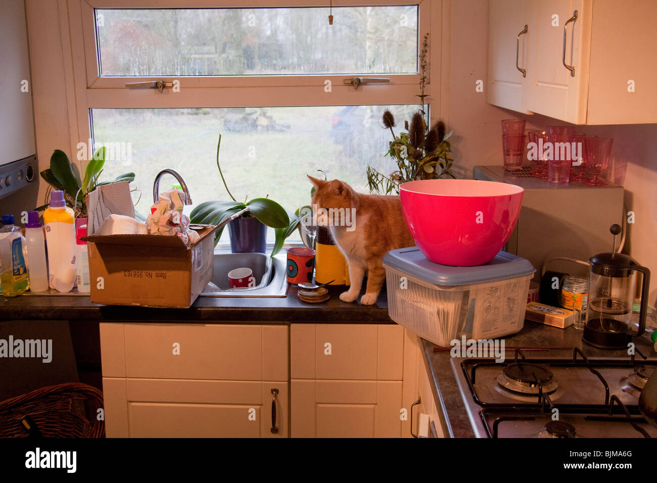 Moving house boxes chaos hi-res stock photography and images - Alamy