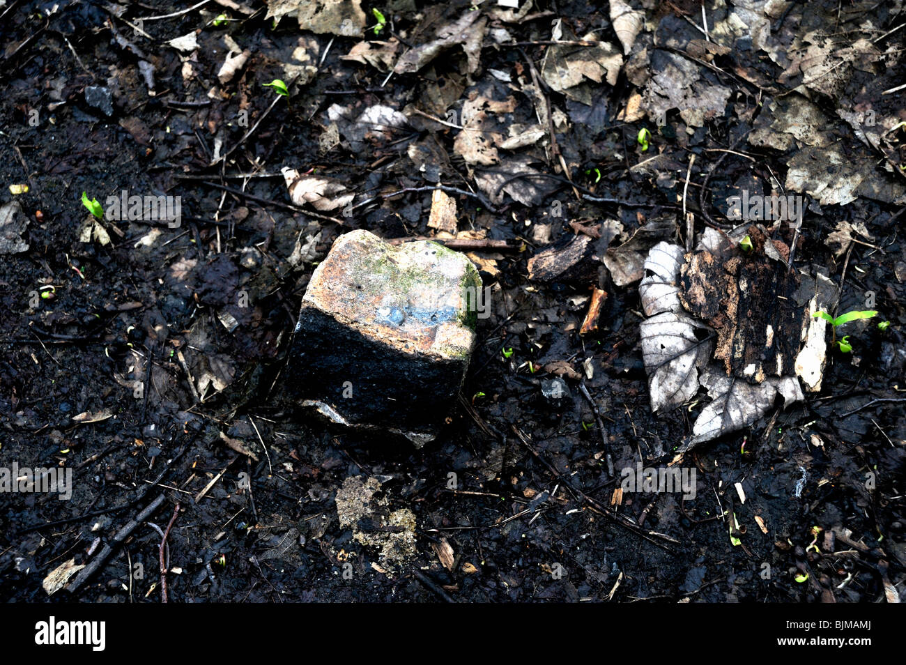 Discarded house bricks Stock Photo - Alamy
