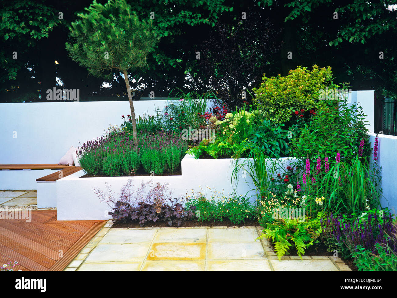 A modern well planted terrace garden with enclosed flower borders Stock ...