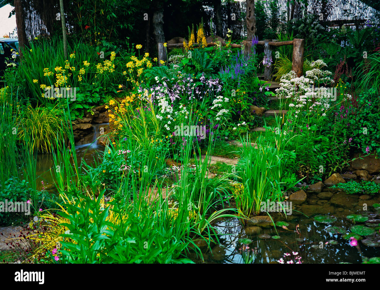 A colourful water garden with running stream in summer Stock Photo - Alamy