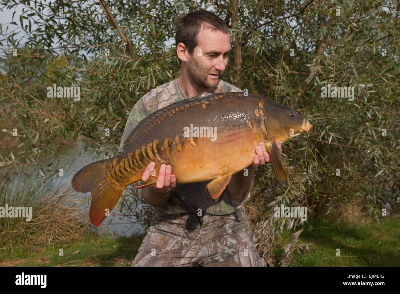 Mirror Carp