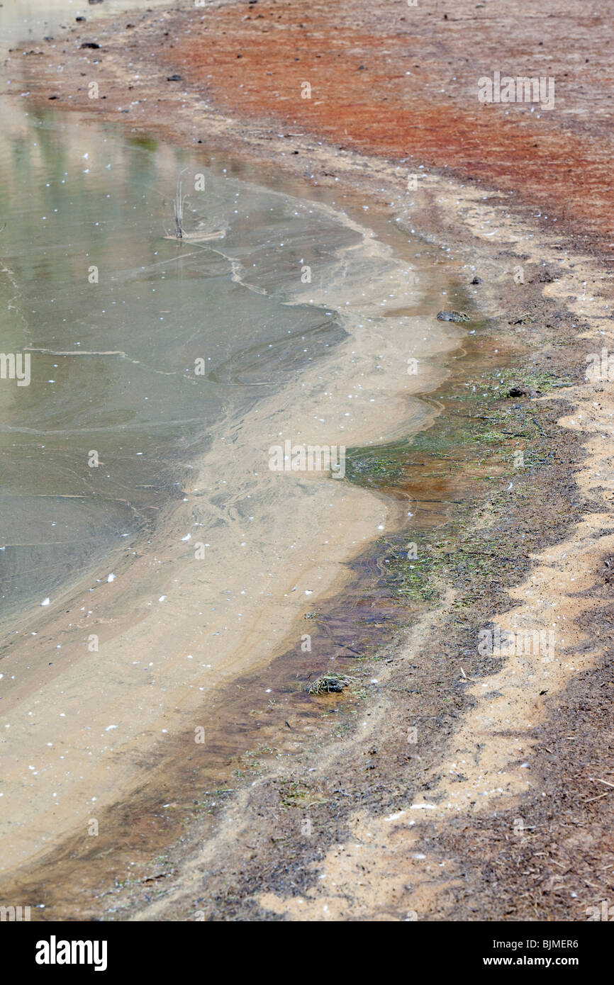 Algae build up on Lake Eildon as it dries up due to the ongoing drought ...