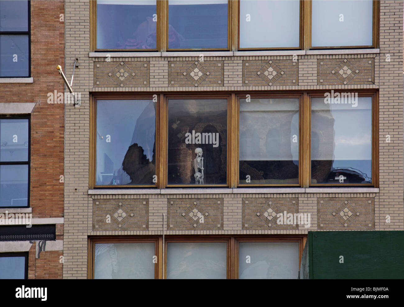 Human skeleton in building window Stock Photo - Alamy