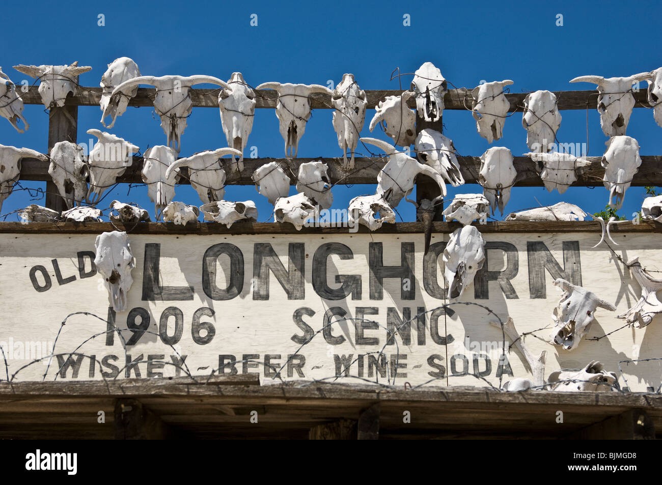 Sculls hi-res stock photography and images - Alamy