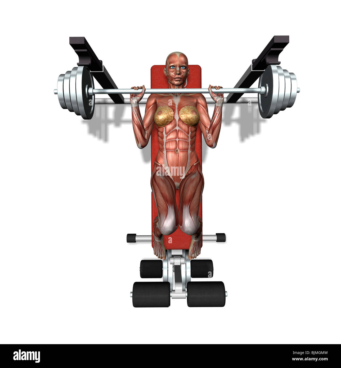 muscle woman at weightlifting Stock Photo - Alamy