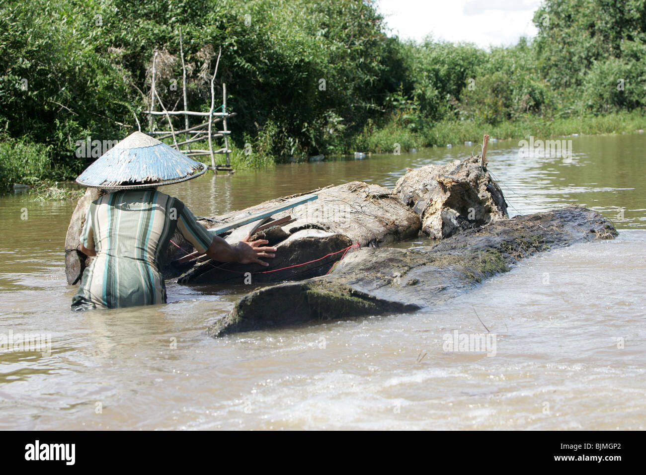 Logging In Kalimantan High Resolution Stock Photography and Images - Alamy