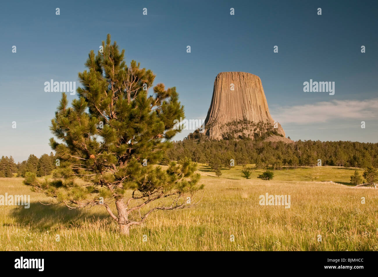 Devils Tower National Monument, Wyoming, USA Stock Photo - Alamy
