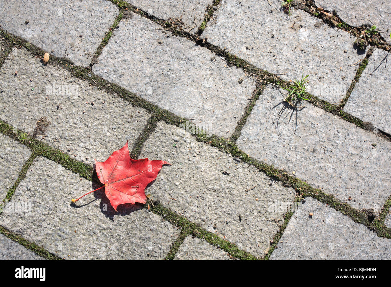 Pavement blocks hi-res stock photography and images - Alamy