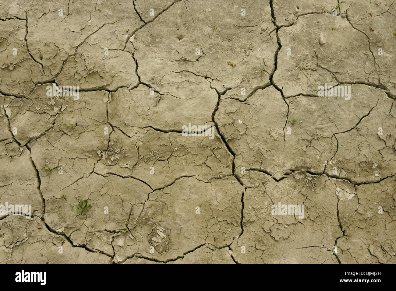 Detail of field baked earth after a long drought Stock Photo - Alamy