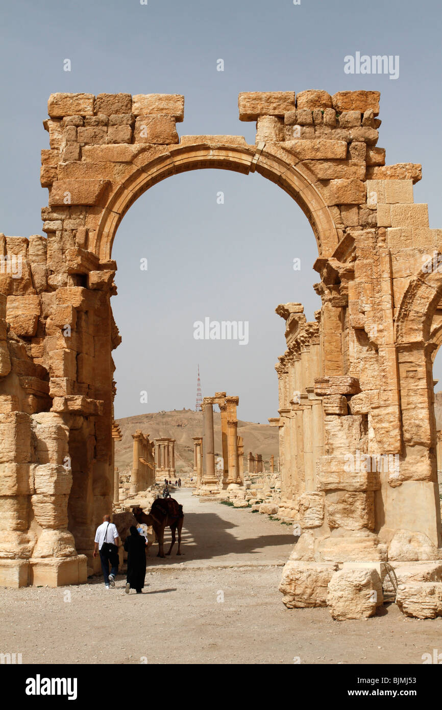 Remains of ancient city of Palmyra in Syria Stock Photo - Alamy