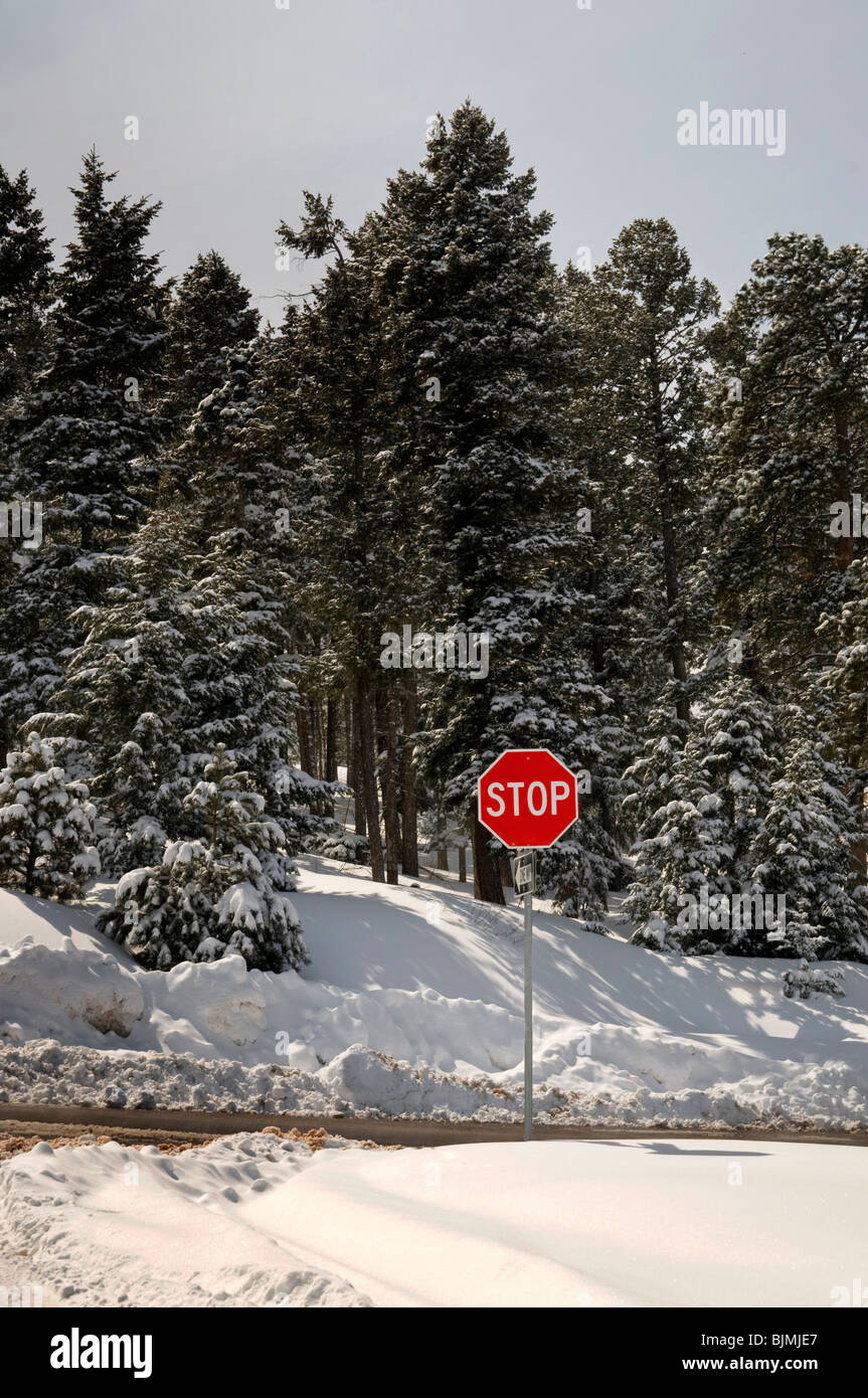 stop sign with snow and trees Stock Photo - Alamy