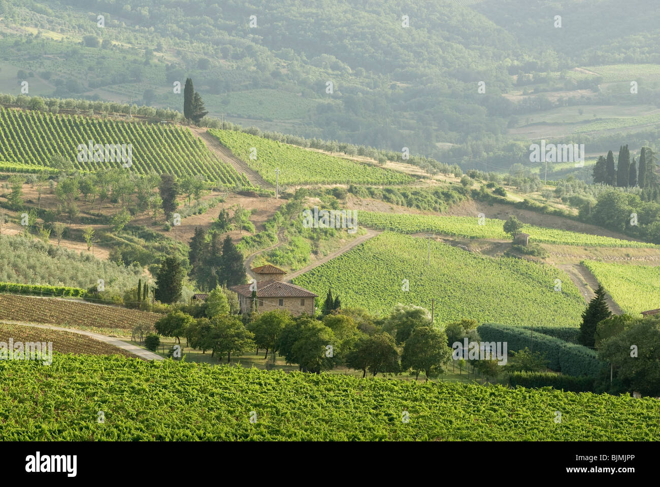 Tuscany chianti hi-res stock photography and images - Alamy